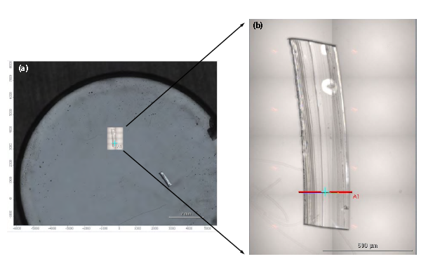 Analisis Multilayer Sampel Polimer